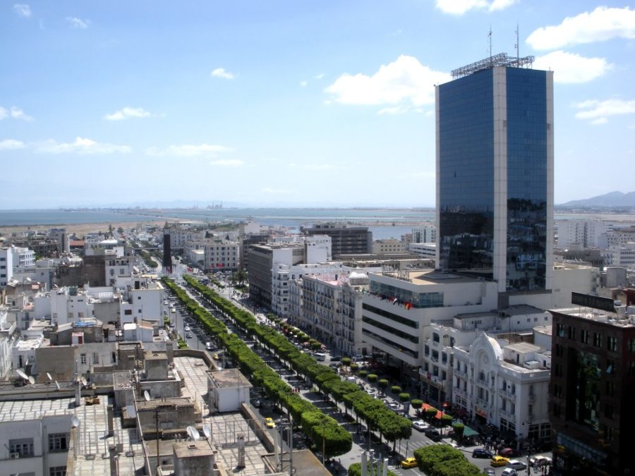 Constitution de société et création d'entreprise en Tunisie